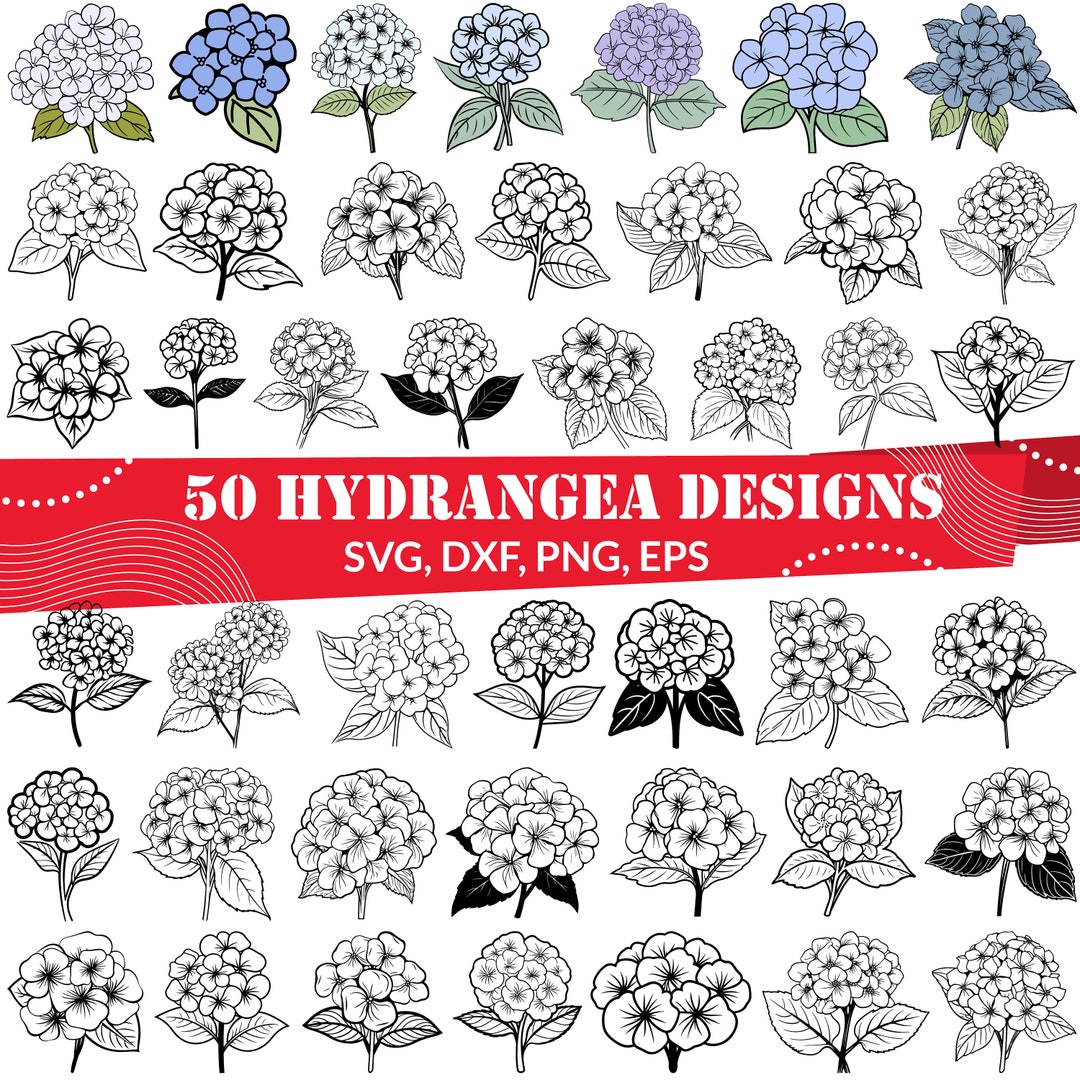 Hydrangea SVG Bundle, Hydrangea Line Art, Hydrangea Dxf, Hydrangea Png ...