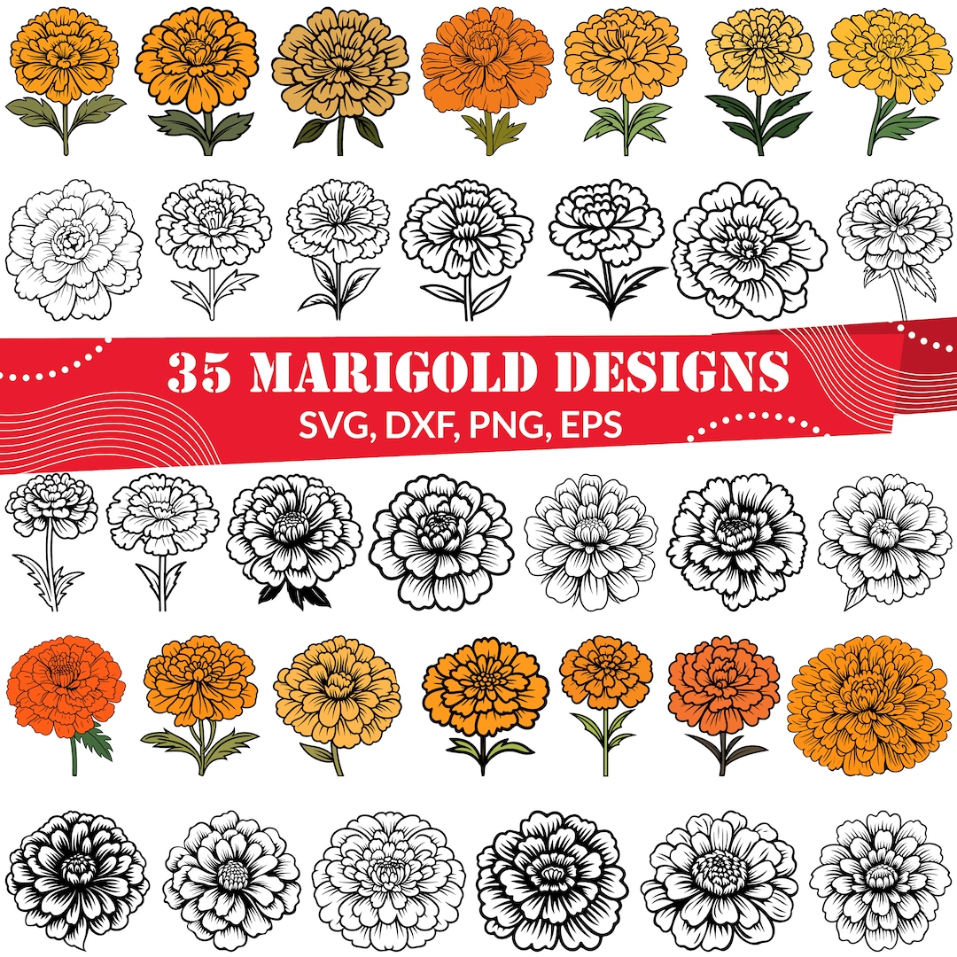 Marigold SVG Bundle, Marigold Flower Svg, Marigold Dxf, Marigold Png ...