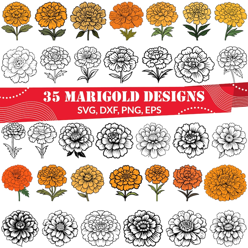 Marigold SVG Bundle, Marigold Flower Svg, Marigold Dxf, Marigold Png ...