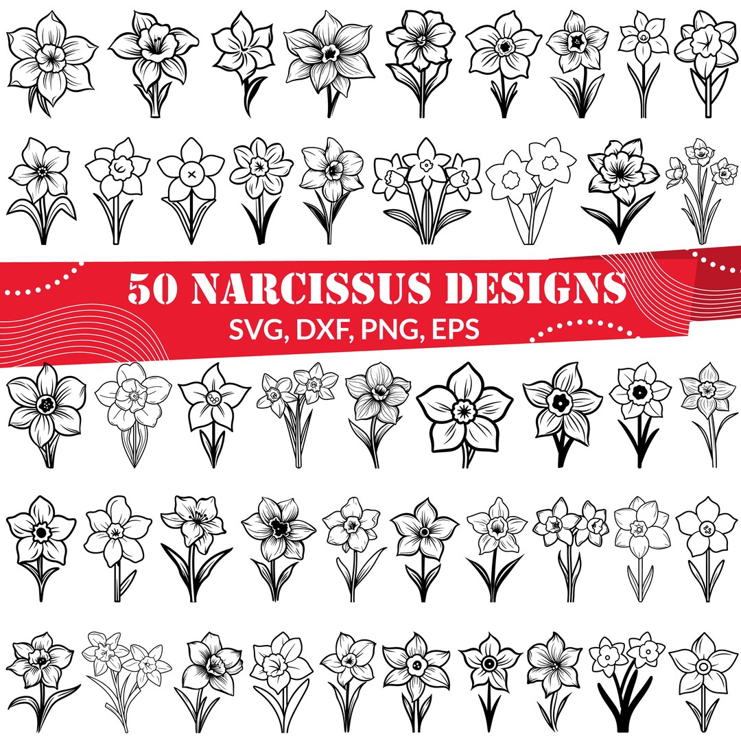 Narcissus SVG Bundle, Narcissus Line Art, Narcissus Dxf, Narcissus Png ...