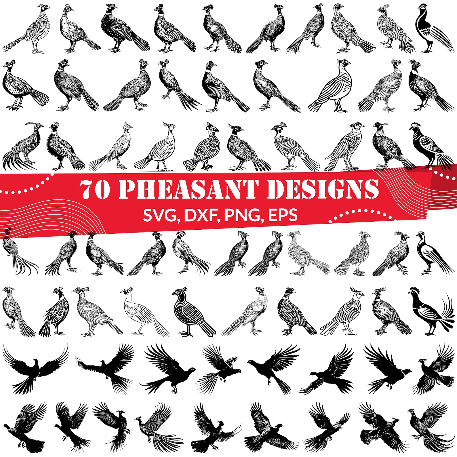 Pheasant SVG Bundle, Pheasant Dxf, Pheasant Png, Pheasant Vector ...