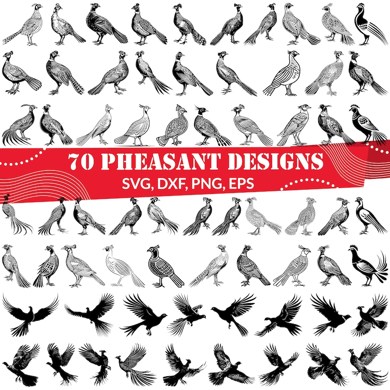 Pheasant SVG Bundle, Pheasant Dxf, Pheasant Png, Pheasant Vector ...