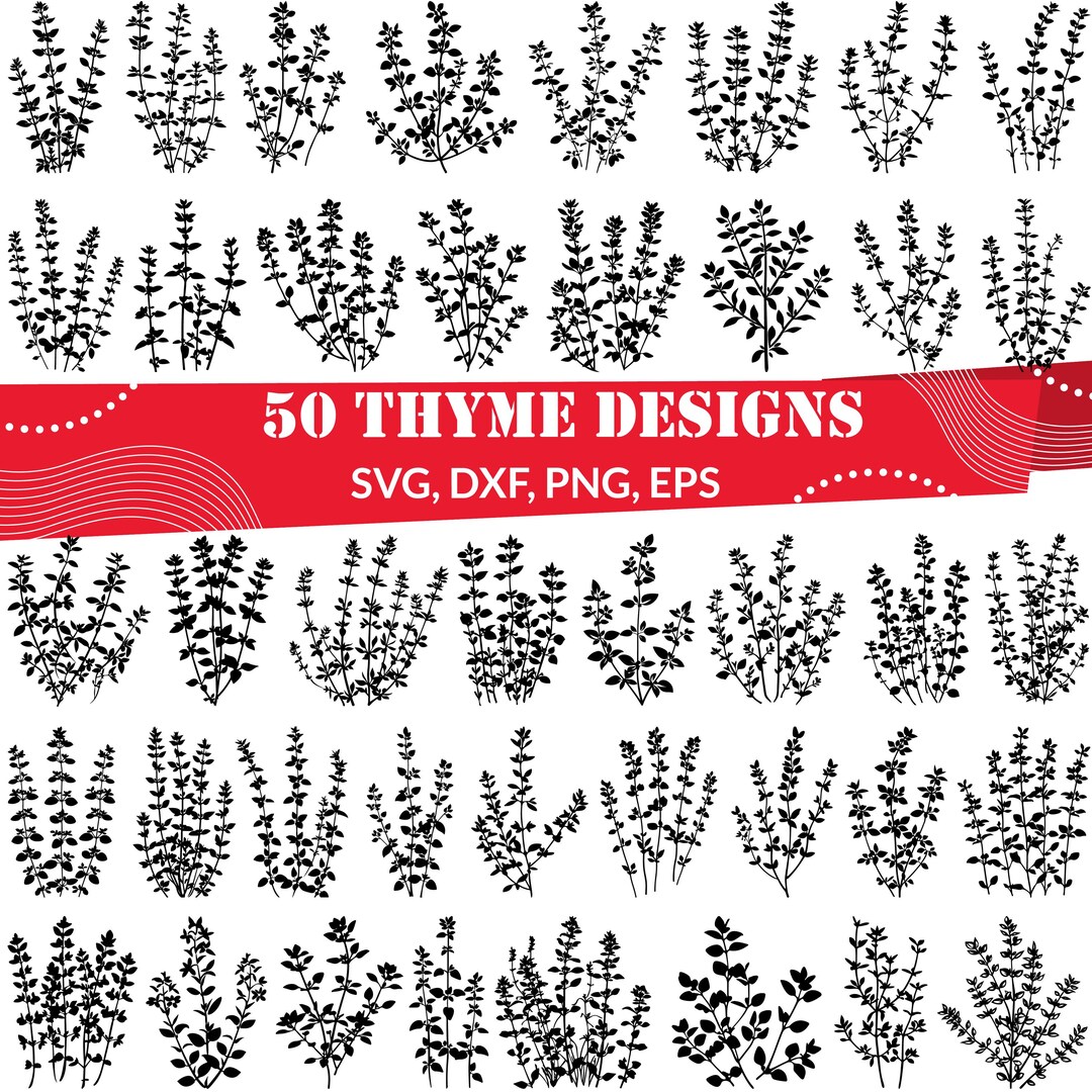 Thyme SVG | Herb Clipart | Botanical Culinary Design - Etsy