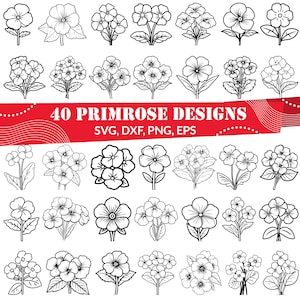 Primrose SVG | Elegant Flower Clipart | Botanical Nature Design - Etsy