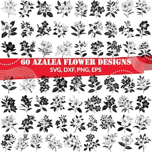 Azalea Flower SVG Bundle, Azalea Flower Dxf, Azalea Flower Png, Azalea ...