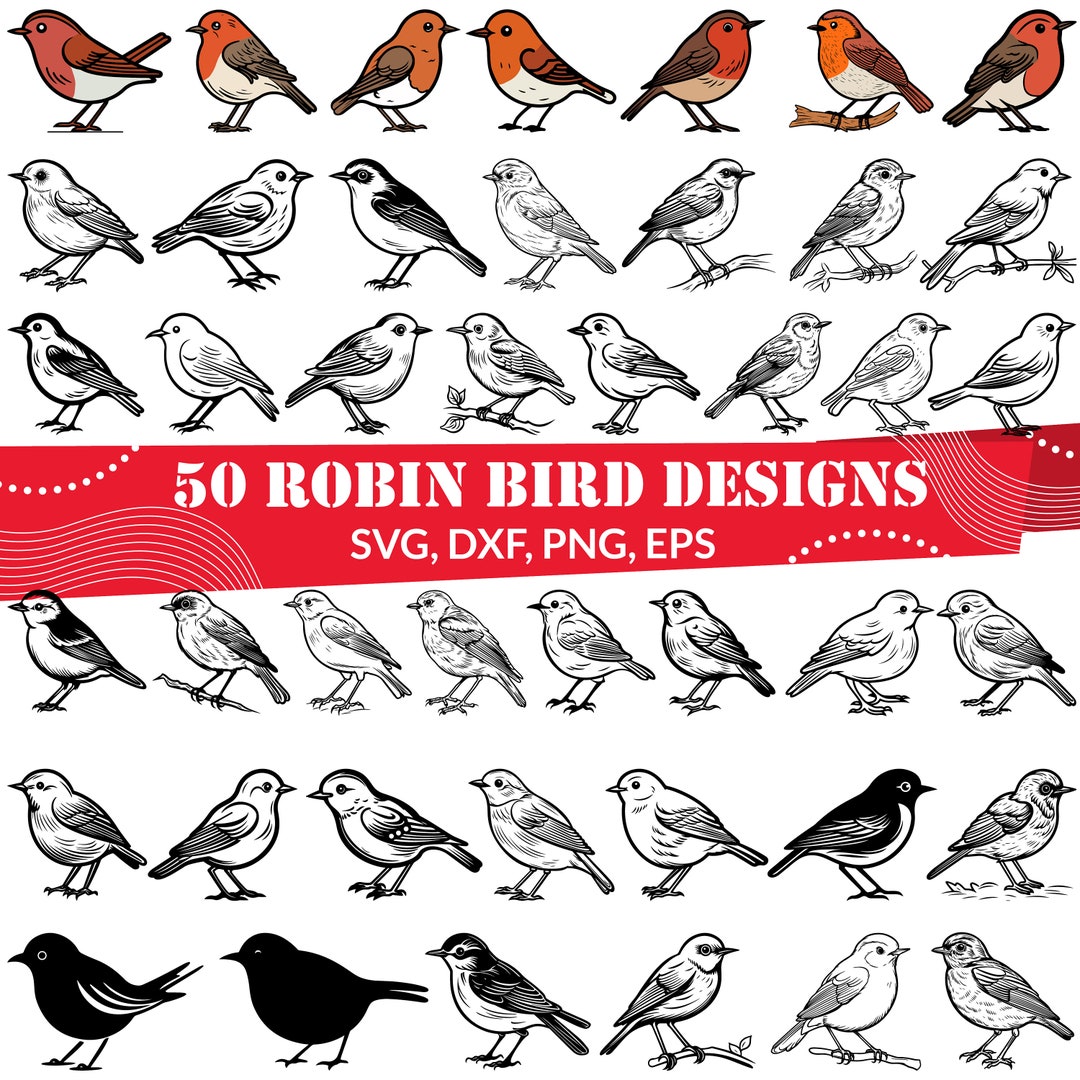 Robin Bird SVG Bundle, Robin Bird Dxf, Robin Bird Png, Robin Bird Eps ...