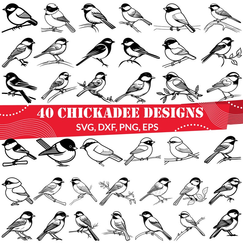 Chickadee SVG Bundle, Chickadee Bird, Chickadee Outline, Chickadee ...