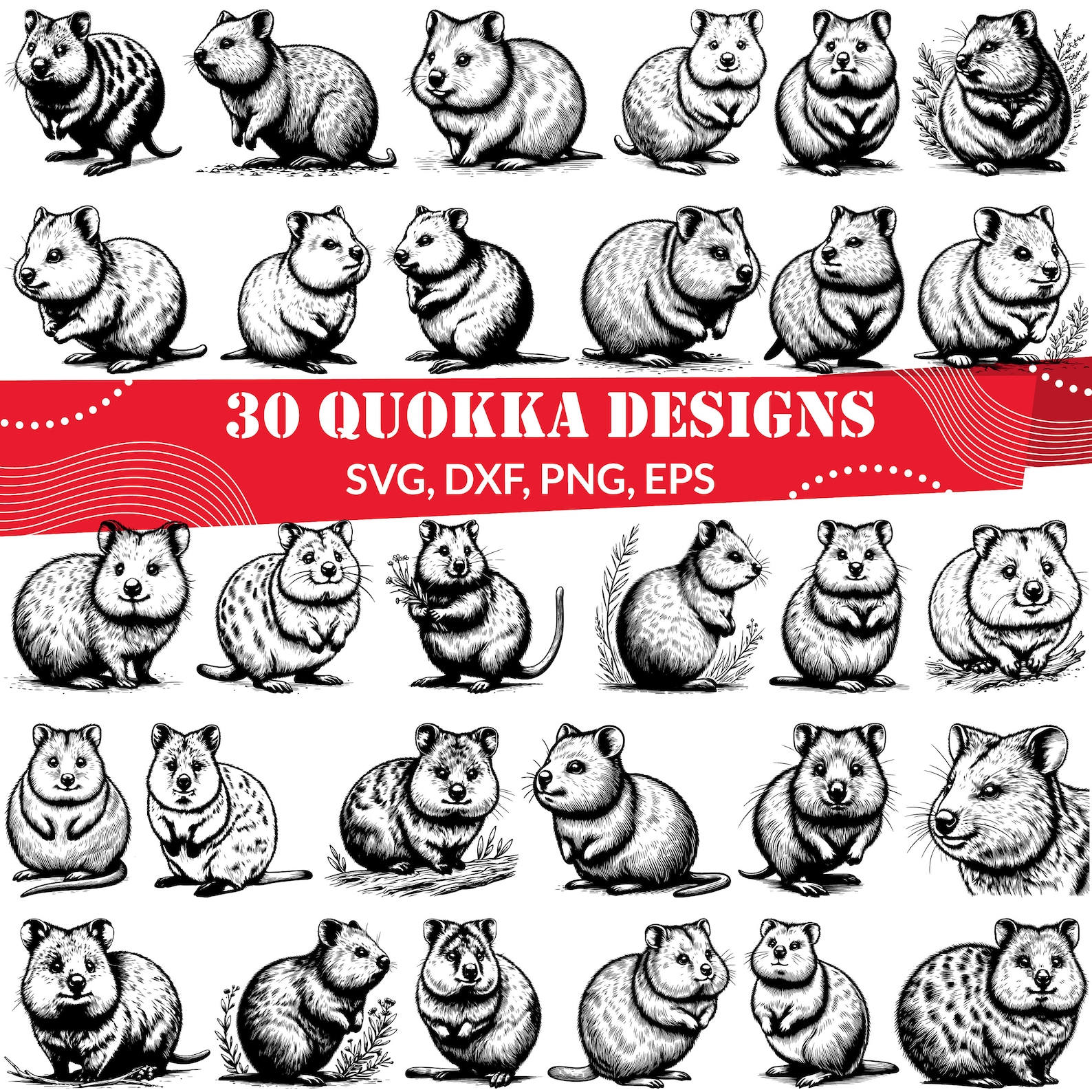 Cute Quokka SVG, Quokka Clipart, Australian Animal SVG, Kawaii Quokka ...