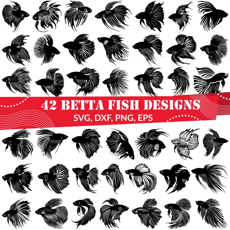 Betta Fish SVG Bundle, Betta Fish Dxf, Betta Fish Png, Betta Fish ...