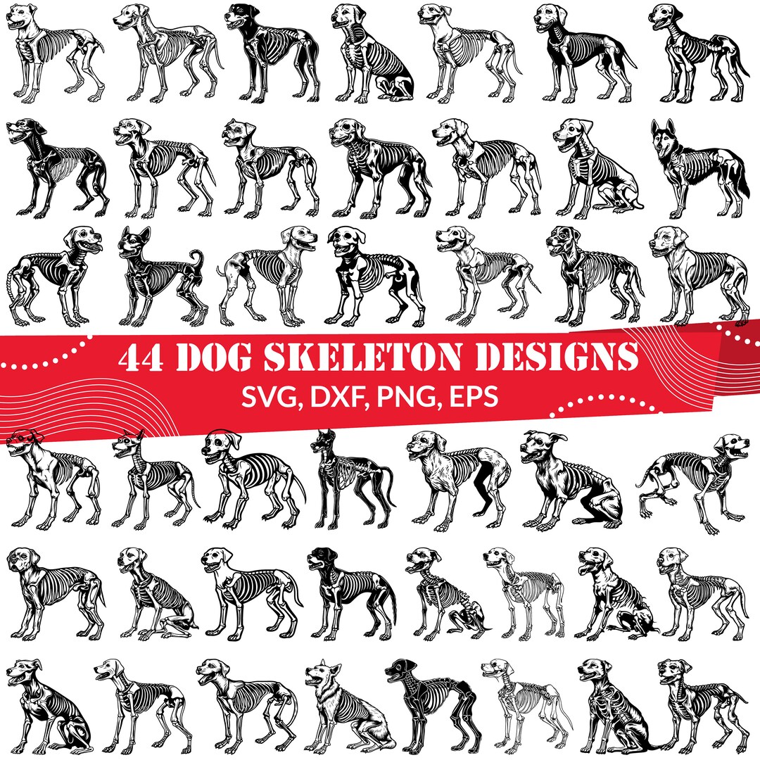 Dog Skeleton SVG Bundle, Dog Skeleton Dxf, Dog Skeleton Png, Dog ...