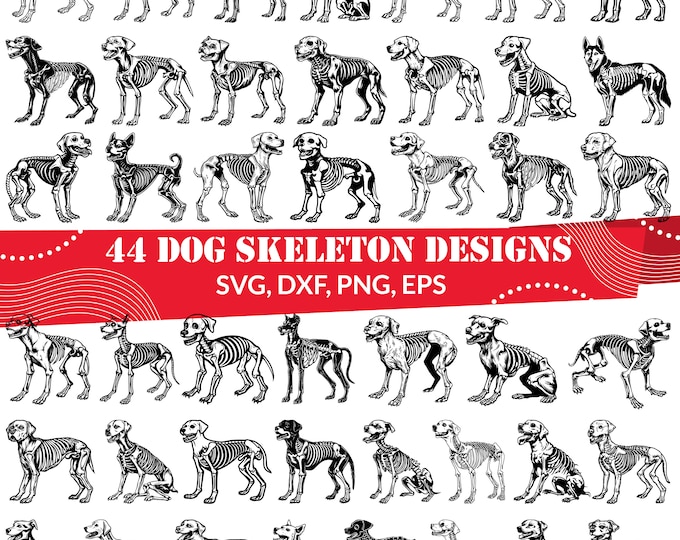 Dog Skeleton #4 Svg, Dog Svg, Kanine Svg, Dog Skeleton Dxf, Dog ...