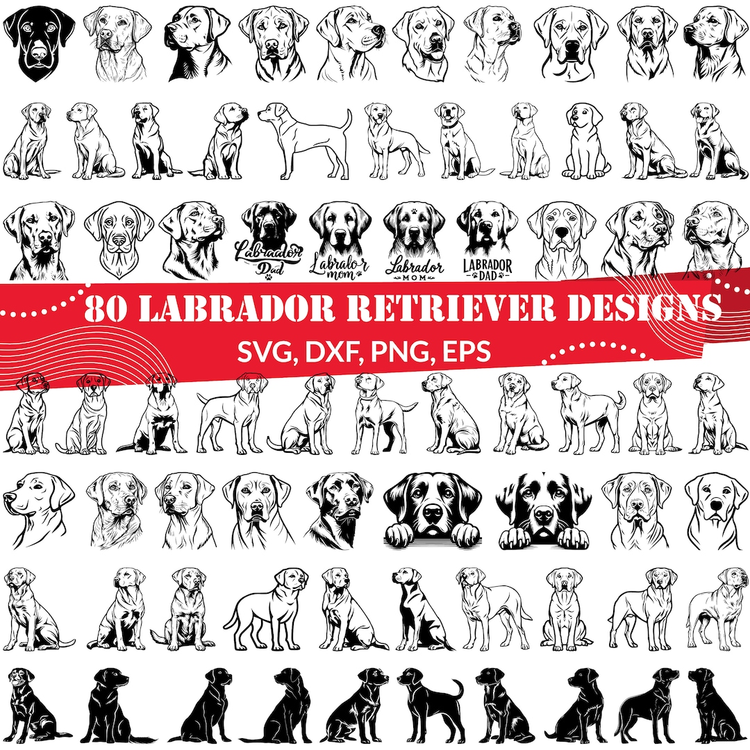 Labrador Retriever SVG Bundle, Labrador Dad, Labrador Mom, Labrador ...