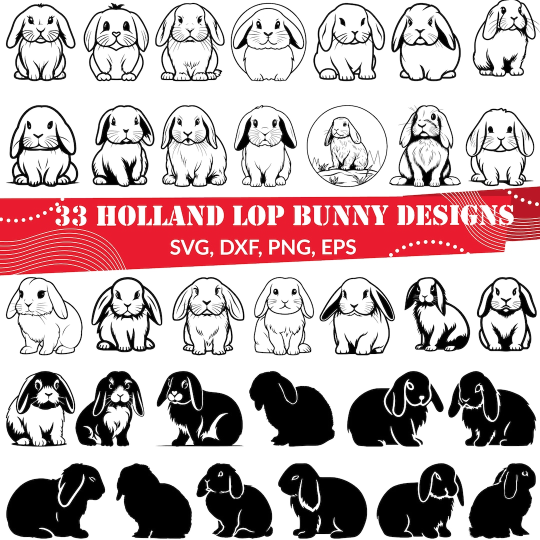 Holland Lop Bunny SVG Bundle, Holland Lop Rabbit Svg, Lop-eared Rabbit ...