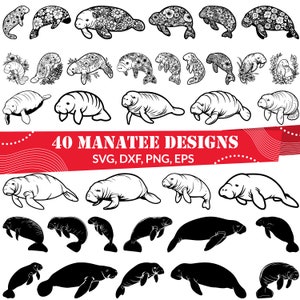 Manatee - Etsy