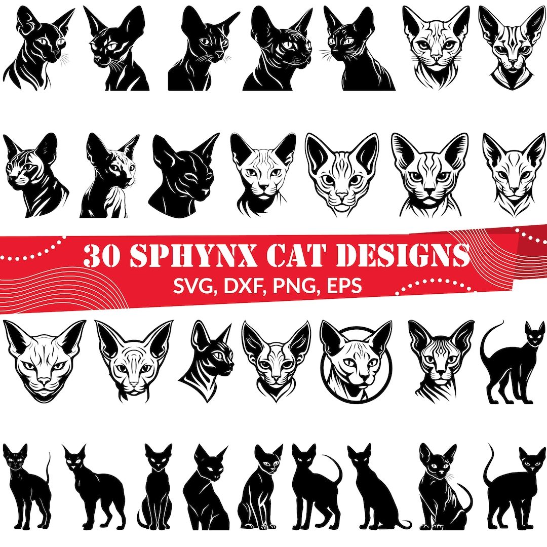 Sphynx Cat SVG Bundle, 30 Egyptian Hairless Designs, Feline Silhouette ...