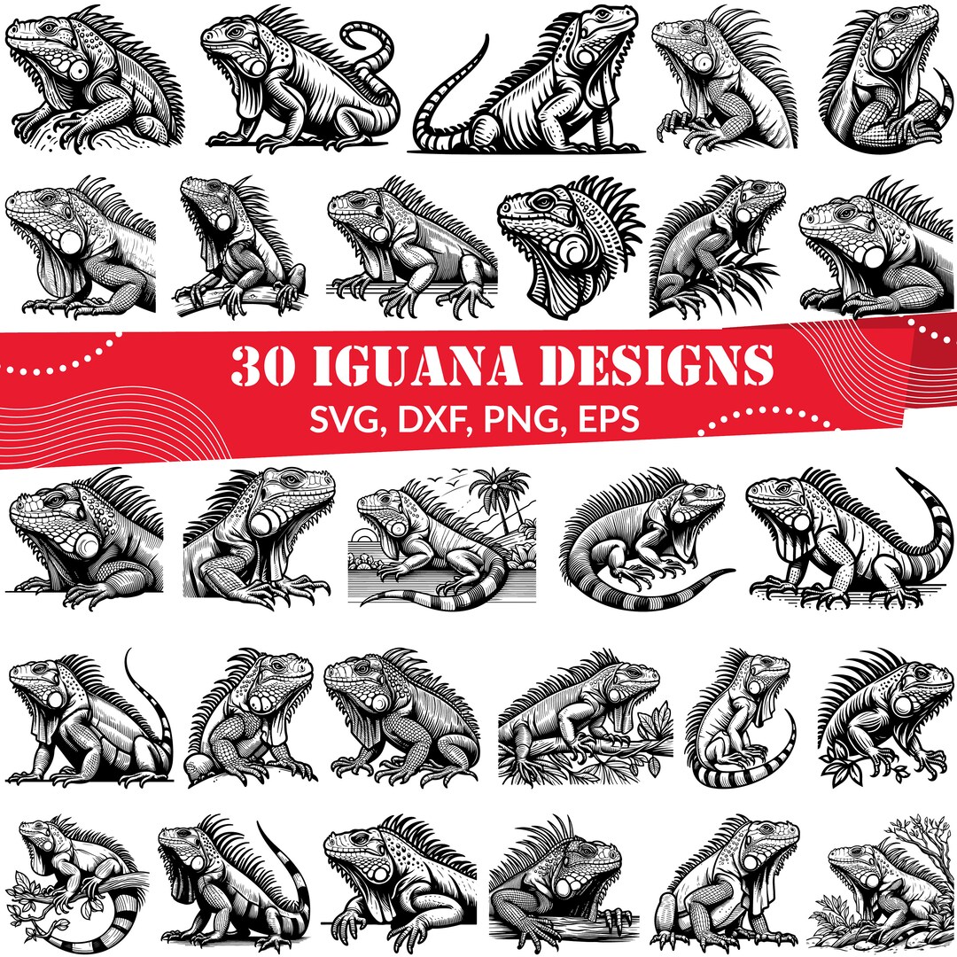Iguana SVG Bundle, Iguana Dxf, Iguana Png, Iguana Vector, Iguana ...