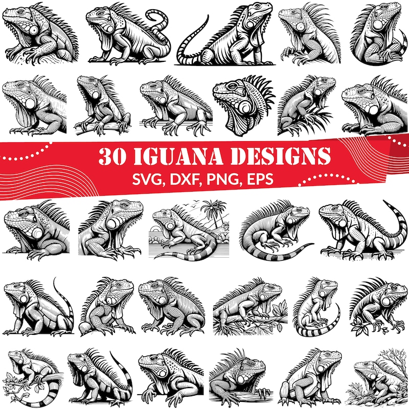 Iguana Digital Art Print - Etsy