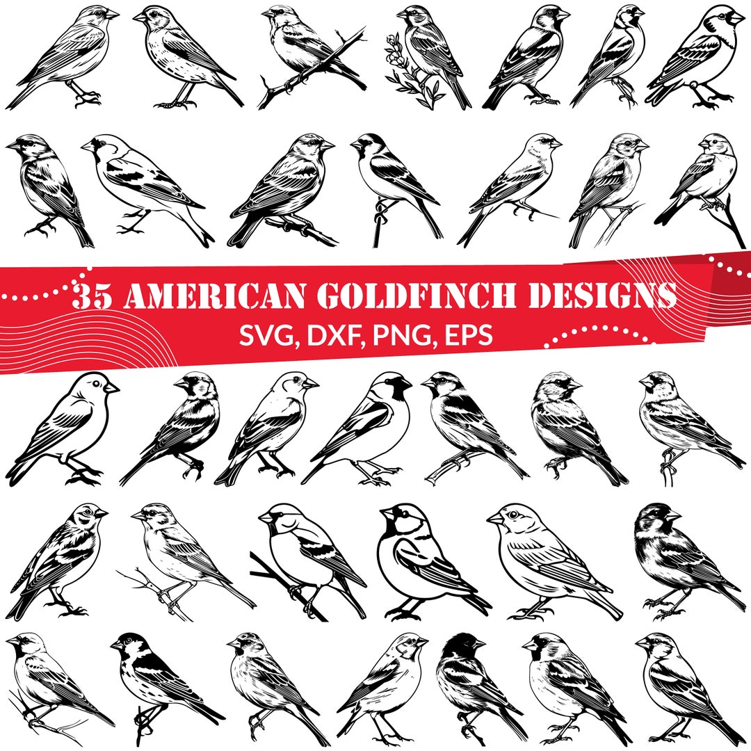 American Goldfinch SVG | Bird Silhouette Clipart | Nature Line Art ...