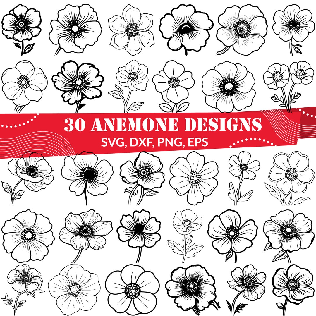 Anemone SVG Bundle, Anemone Line Art, Anemone Dxf, Anemone Png, Anemone ...