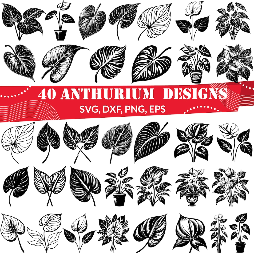 Anthurium SVG Bundle | 40 Anthurium Leaf and Plant Clipart | Tropical ...