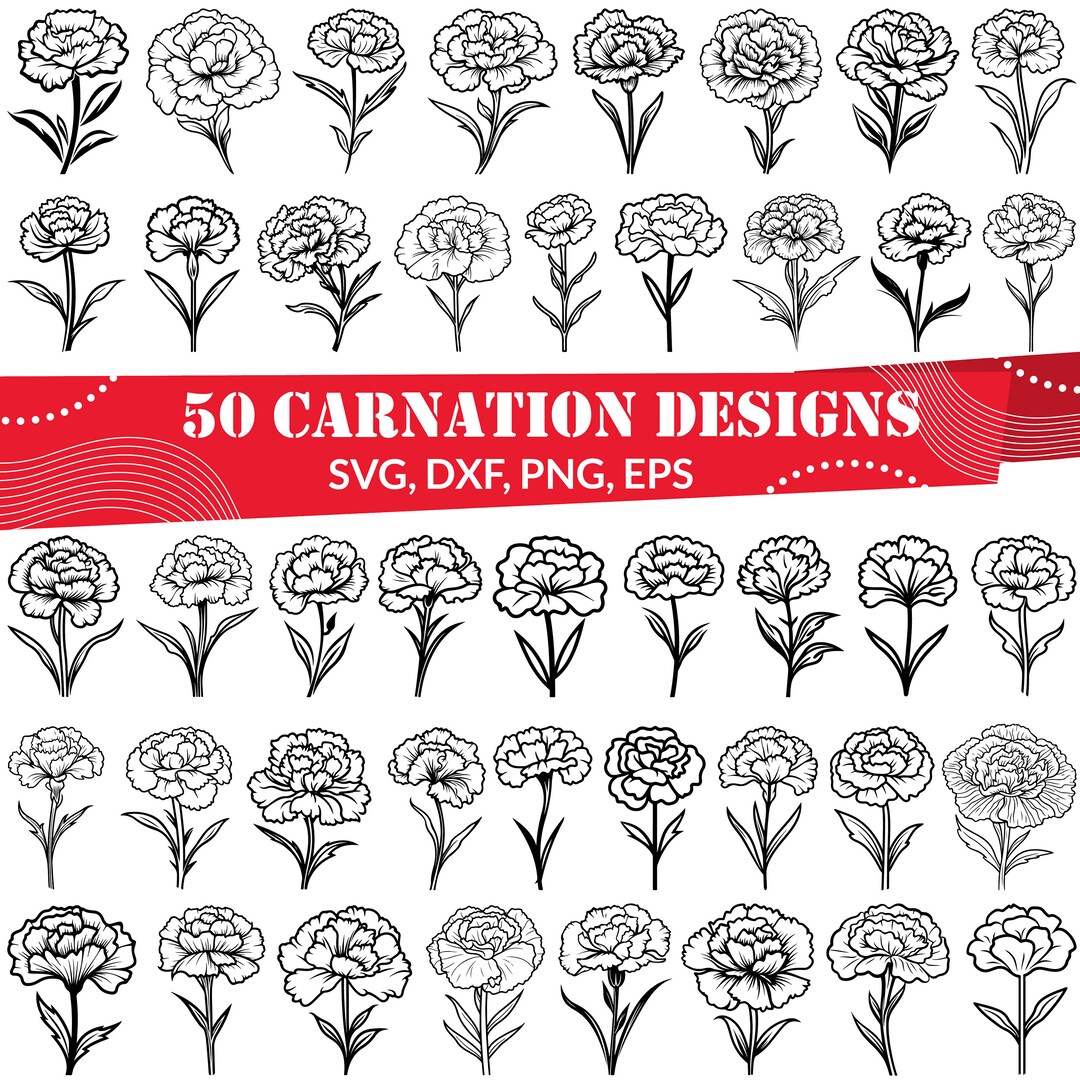 Carnation SVG Bundle, Carnation Line Art, Carnation Dxf, Carnation Png ...