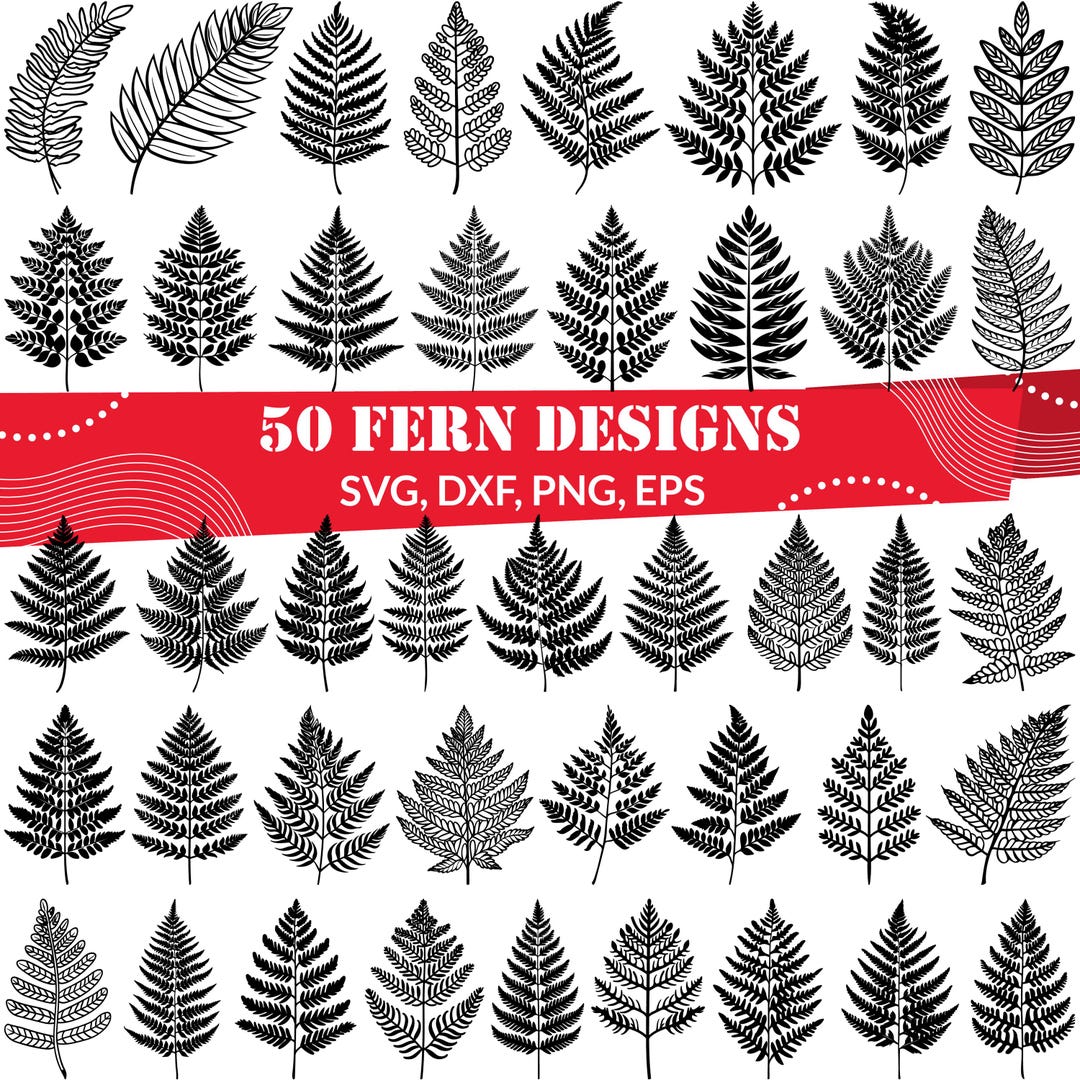 Fern SVG | Botanical Clipart | Nature-inspired Leaf Design - Etsy