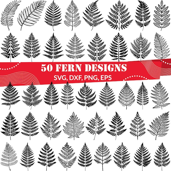 Fern Svg - Etsy