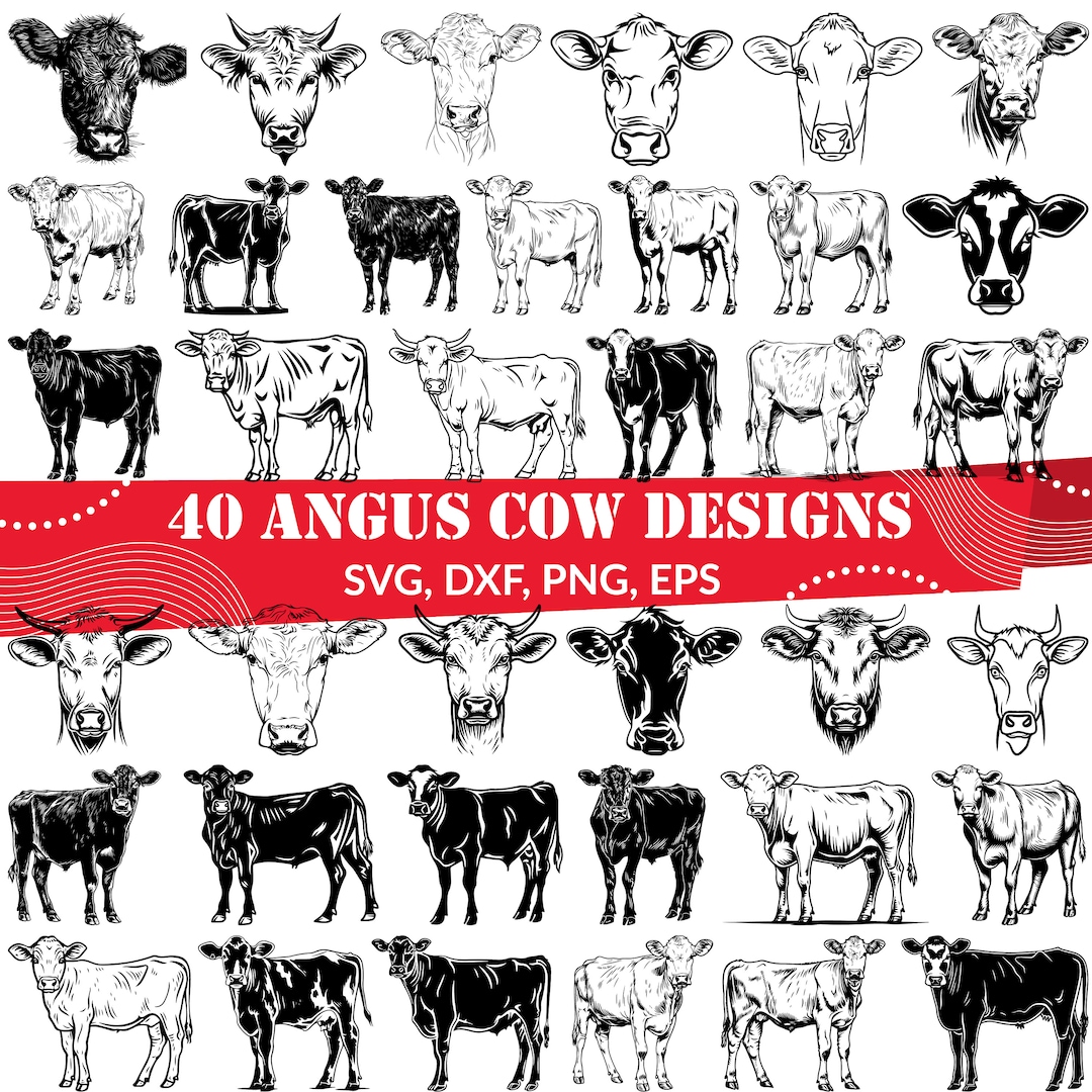 Angus Cow SVG Bundle, Angus Cow Dxf, Angus Cow Png, Angus Cow Vector ...