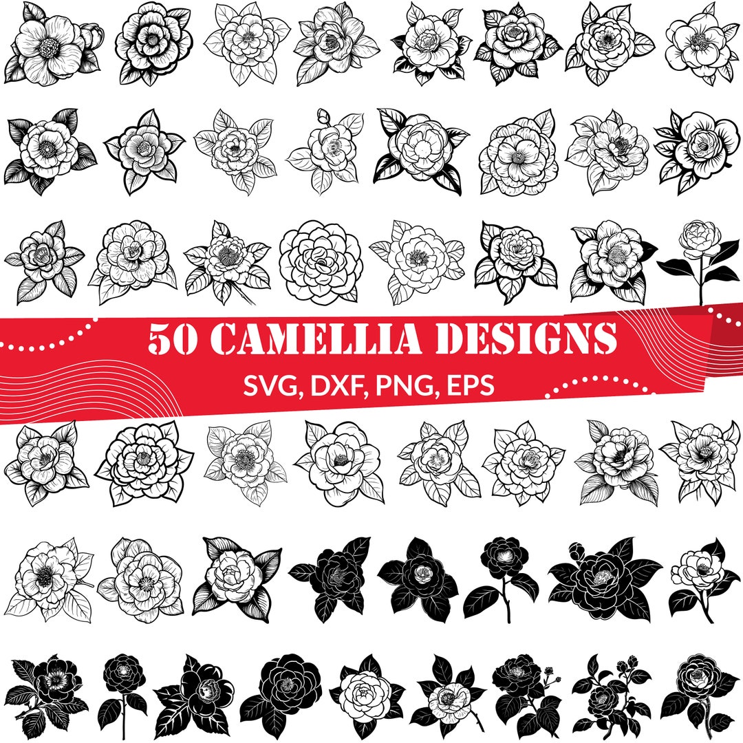 50 Camellia SVG Bundle, Camellia Flower Clipart, Botanical Line Art PNG ...