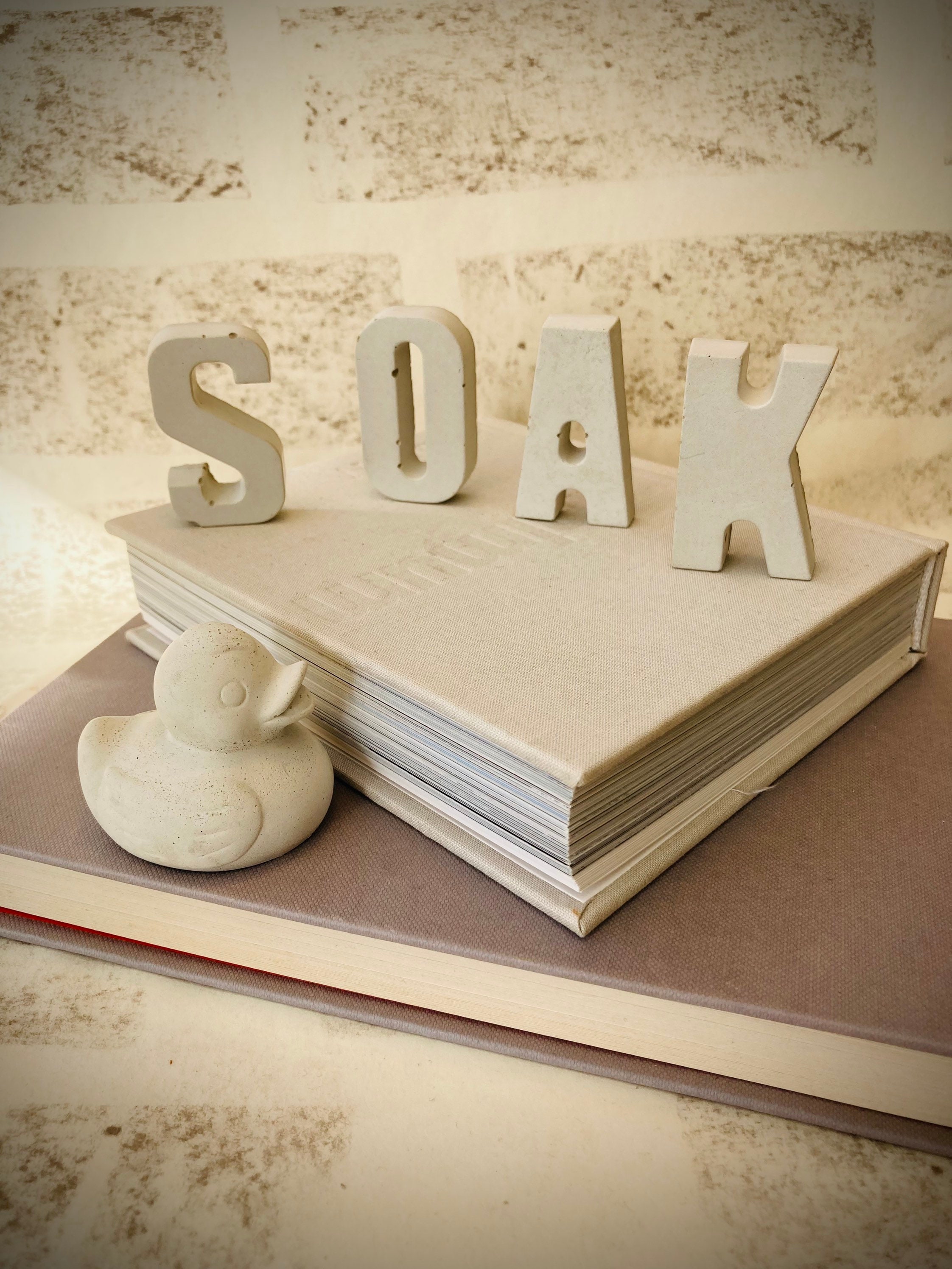 Concrete ‘rubber’ Duck With ‘SOAK’ Letters - Etsy