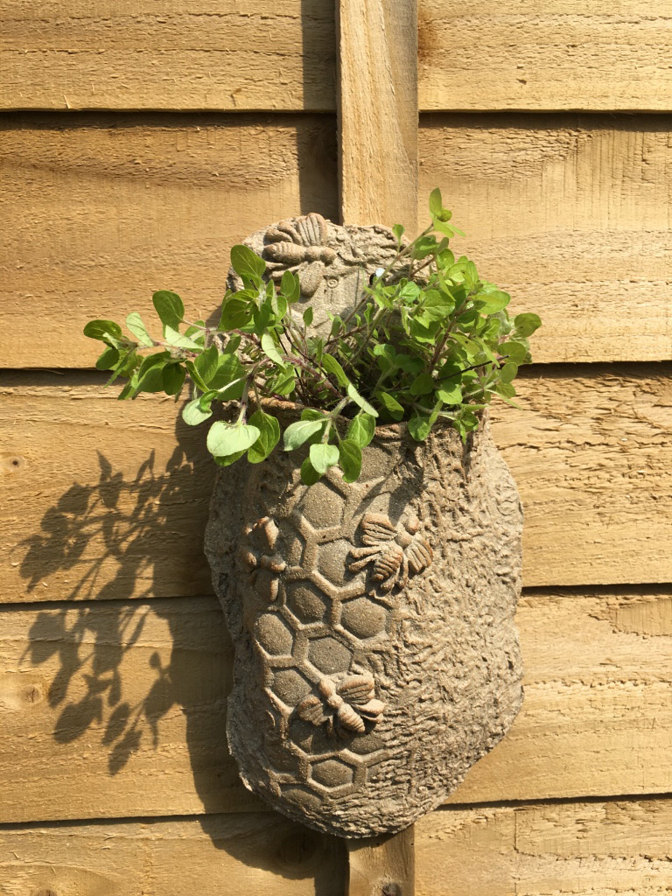 Sandy Bee Hive Planter Bee Hive Design Plant Pot Bee Hive - Etsy