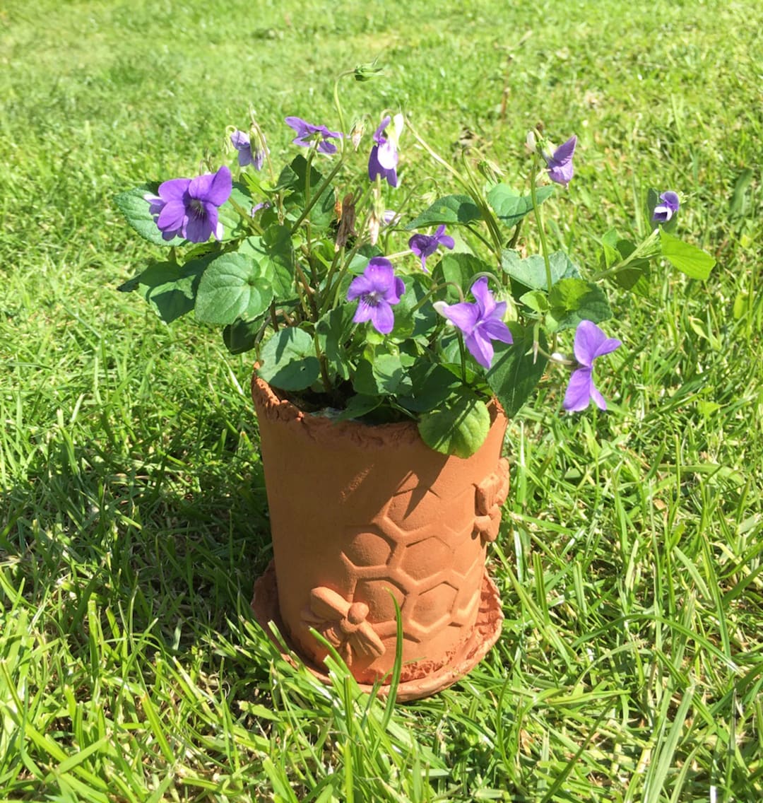 Terracotta Bee Hive Plant Pot: 3D Bee Design - Etsy