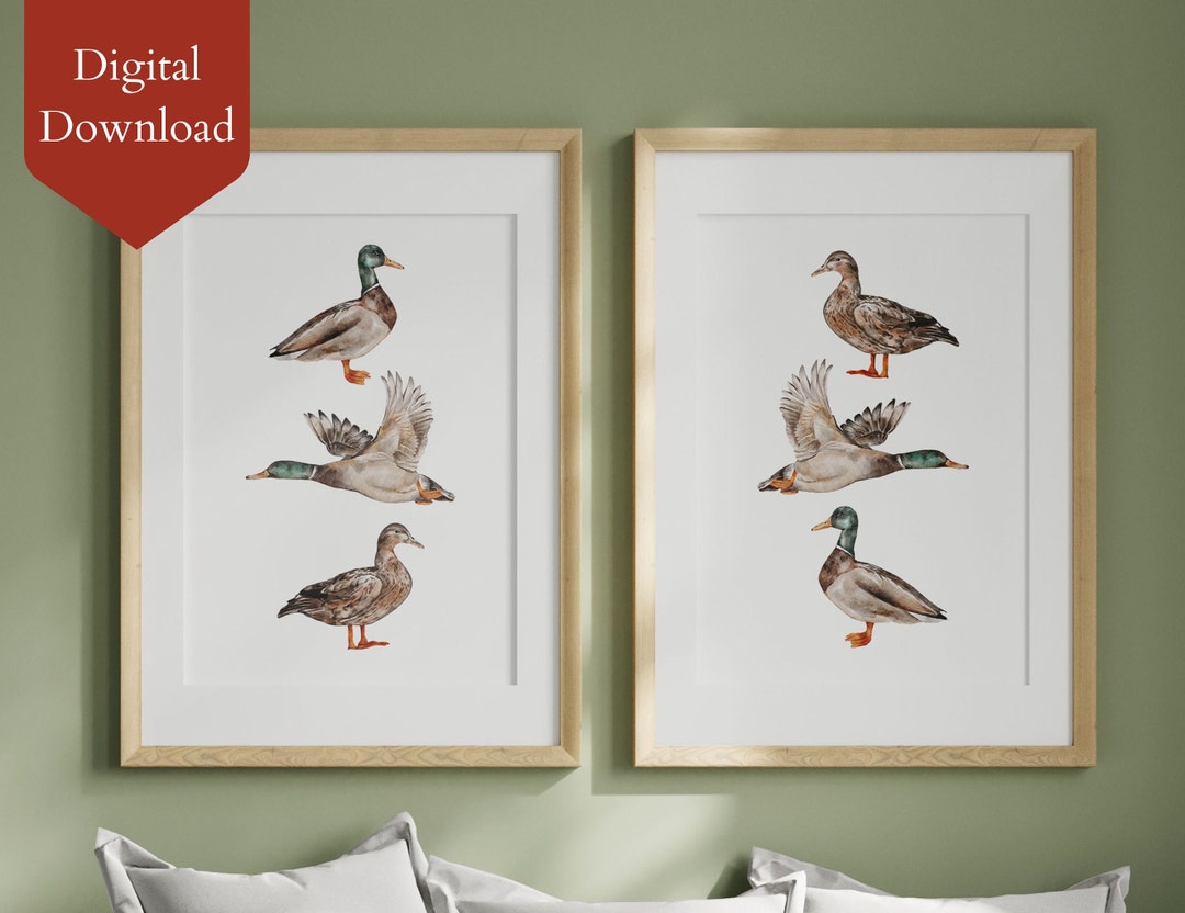 Mallard Duck Nursery Art Print Set | Hunting Decor (digital Download ...