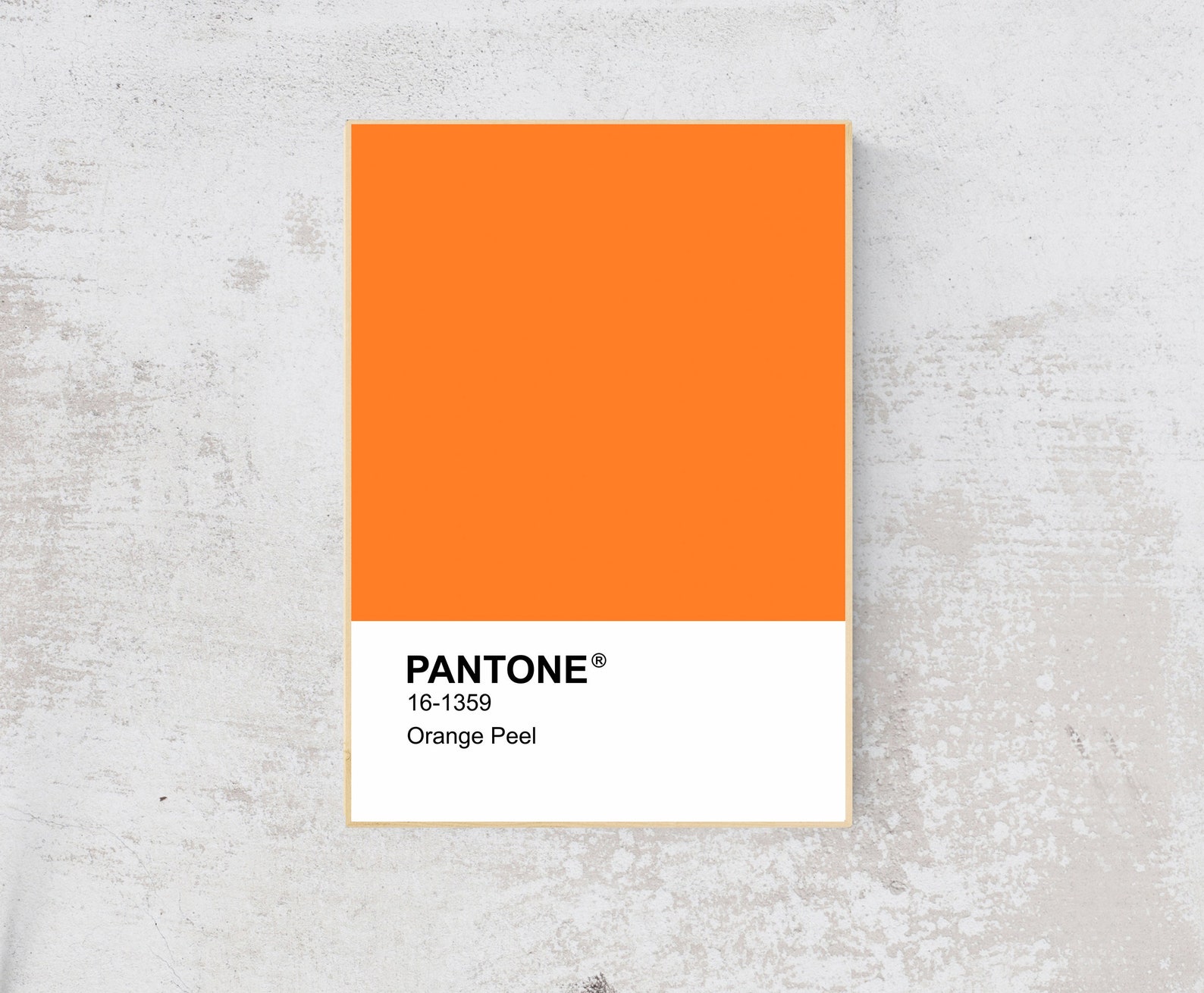 Pantone Pantone Orange Peel PANTONE 2020 Fashion Wall Art | Etsy