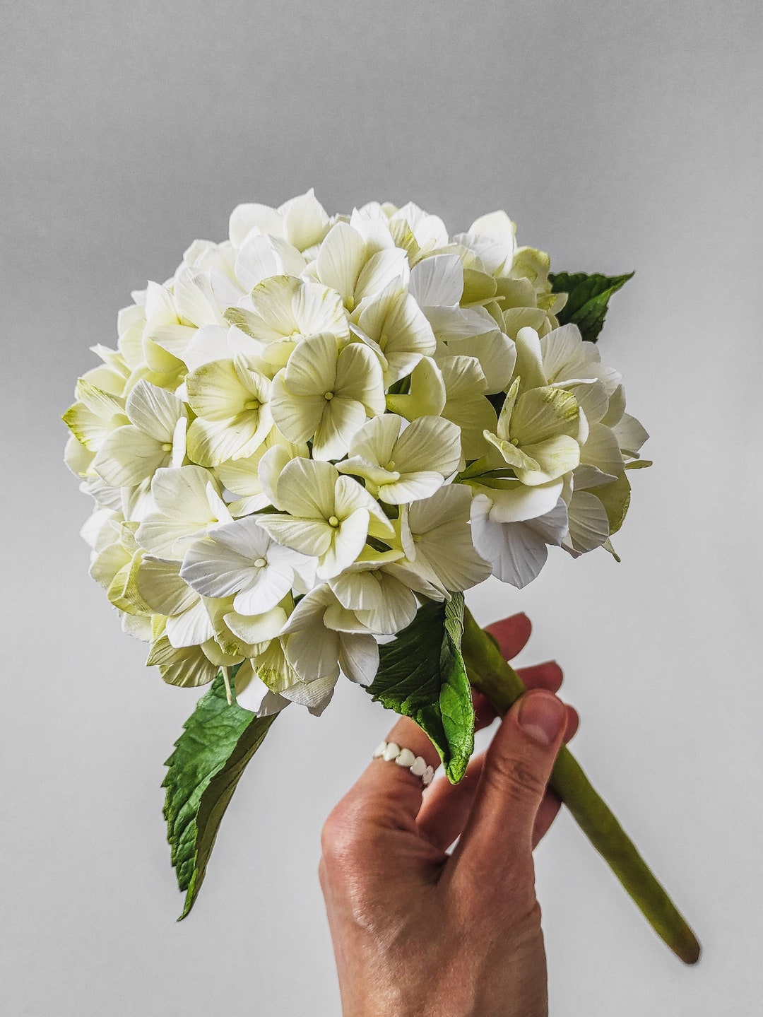 White Hydrangea – Luxury Realistic Handmade Hydrangea – Handmade Clay Hydrangea – Hydrangea Clay ...