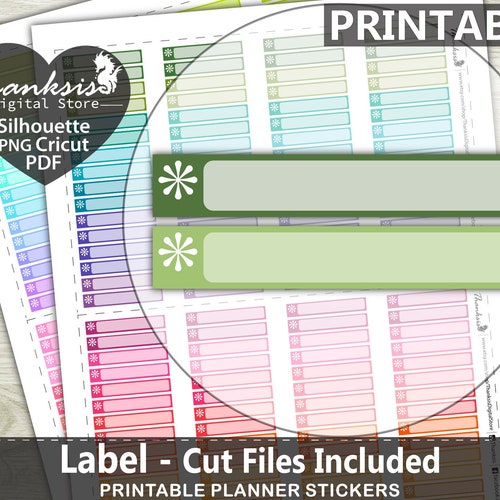 Full Color Coding Budget Label Planner Stickers for Erin | Etsy
