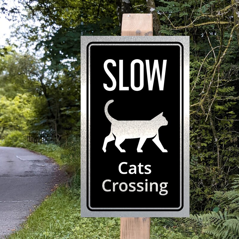 Cat Crossing - Etsy