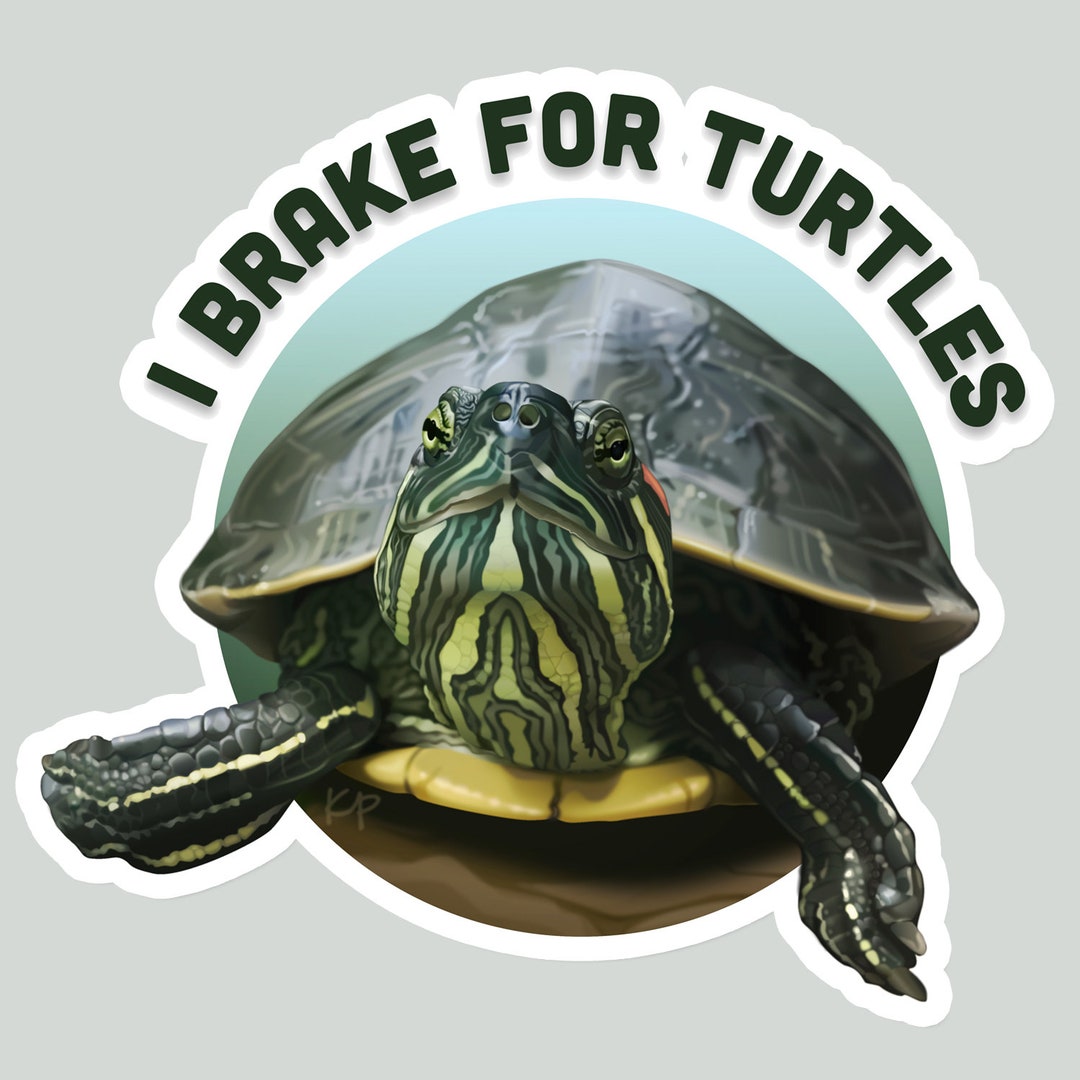 I BRAKE FOR TURTLES Magnet - Etsy