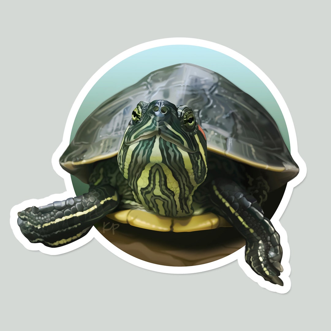 Red-eared Slider Sticker - Etsy