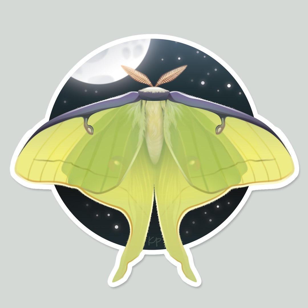 Luna Moth Sticker - Etsy