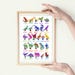 Dino Box A-Z Dinosaur Alphabet Poster - Etsy UK