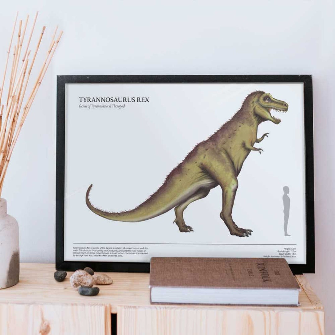 Dino Box Human & Dinosaur Size Comparison Posters - Etsy