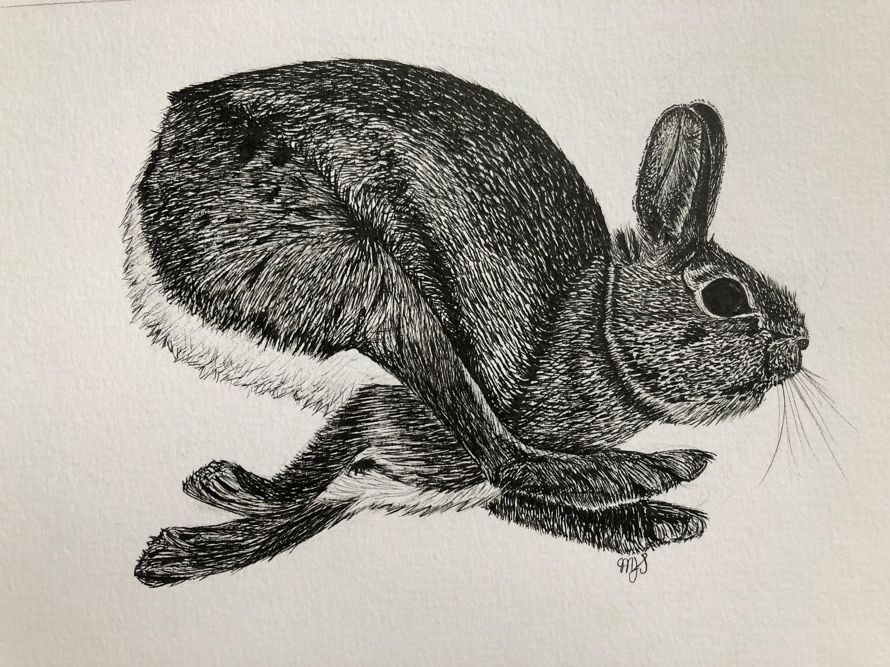 Original Drawing Running Hare - Etsy Norway