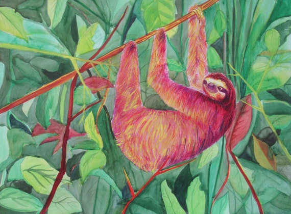 Sloth Amazon Rainforest Watercolor Drawing Painting Original | Etsy