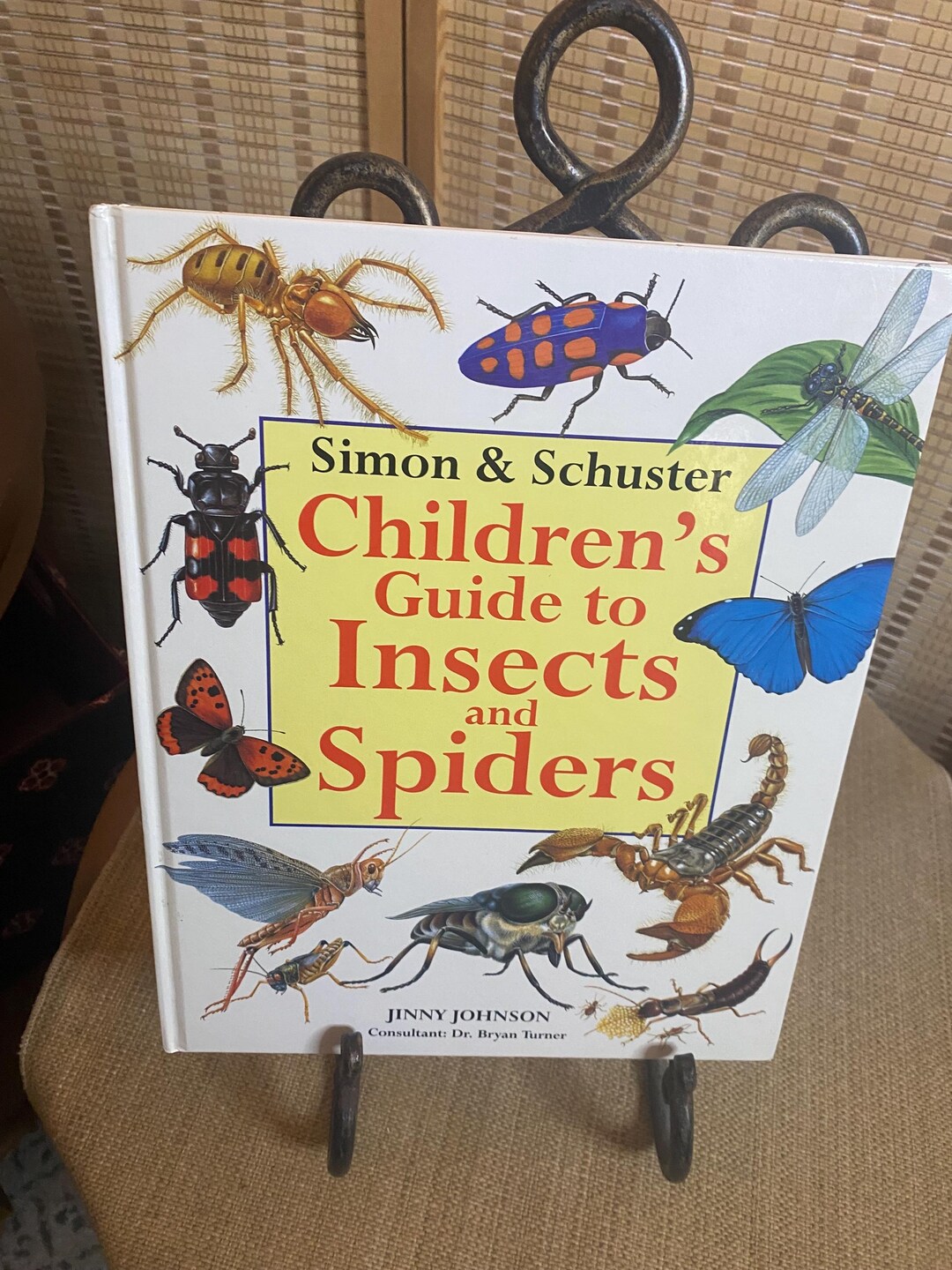 Children’s Guide to Insects and Spiders - Etsy