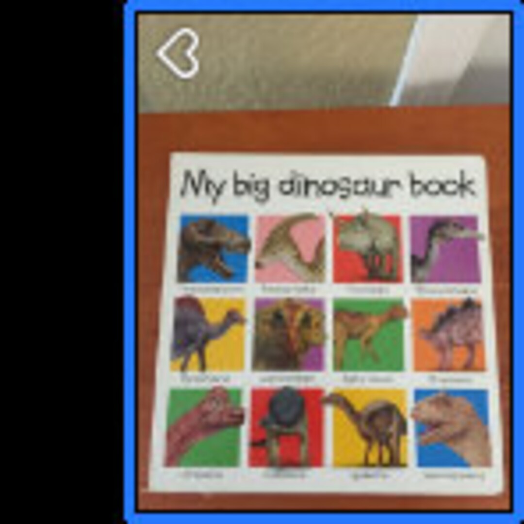 My Big Dinosaur Book - Etsy