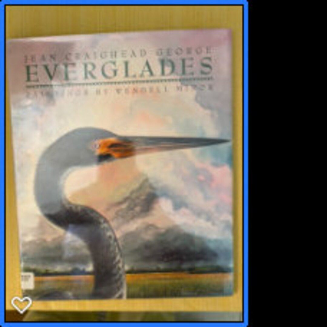 Everglades by Jean Craighead George - Etsy