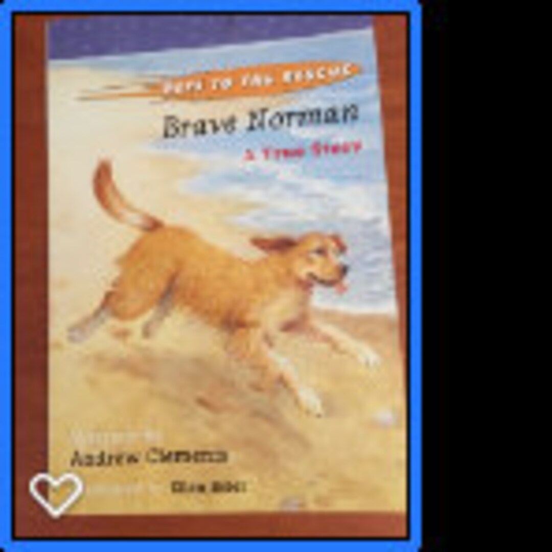 Pets to the Rescue Brave Norman - Etsy