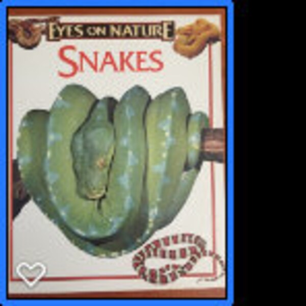 Snake Eyes Book - Etsy