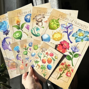 Genshin Impact Region Collectible Prints & Postcards - Mondstadt ...